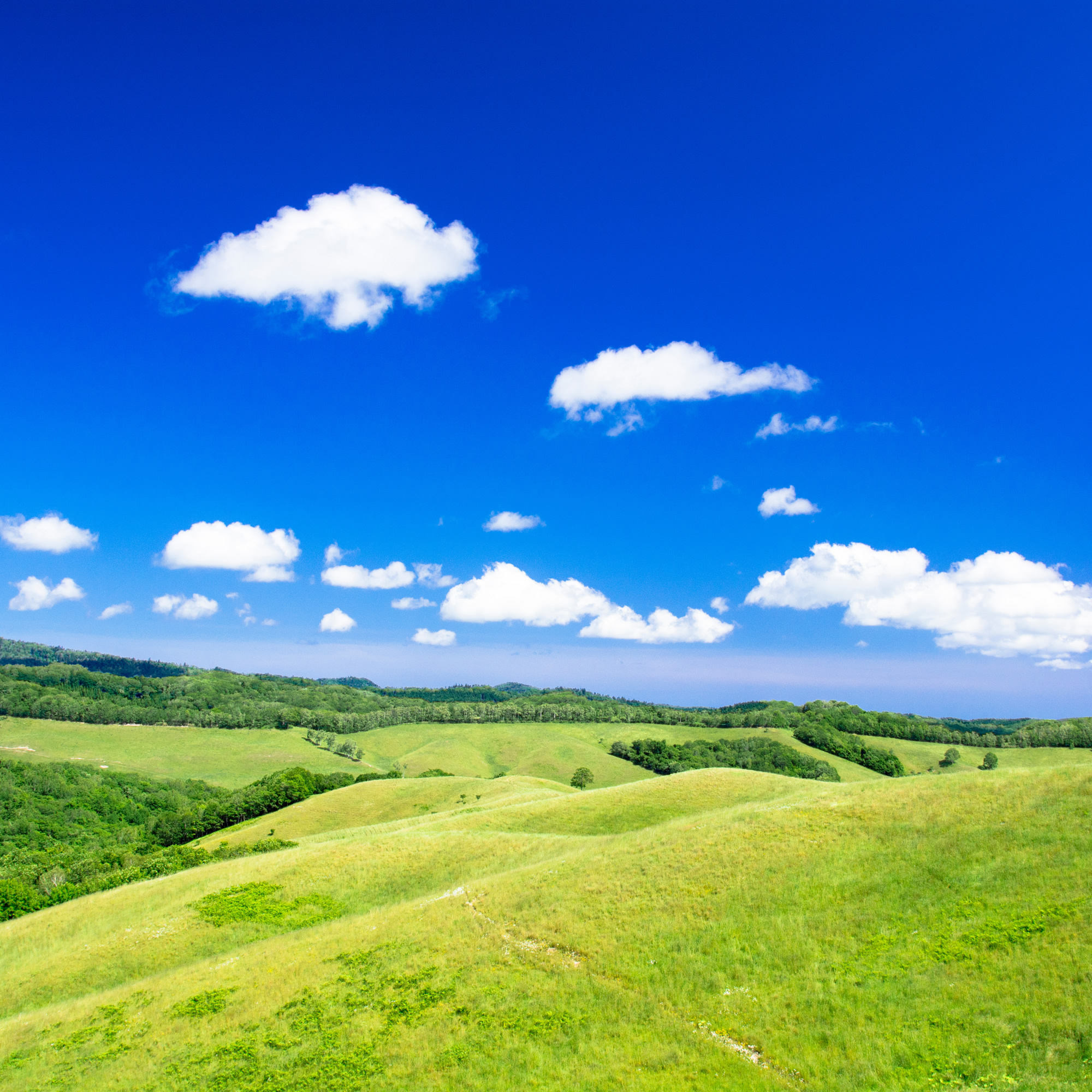 GW休暇のお知らせ | digrart